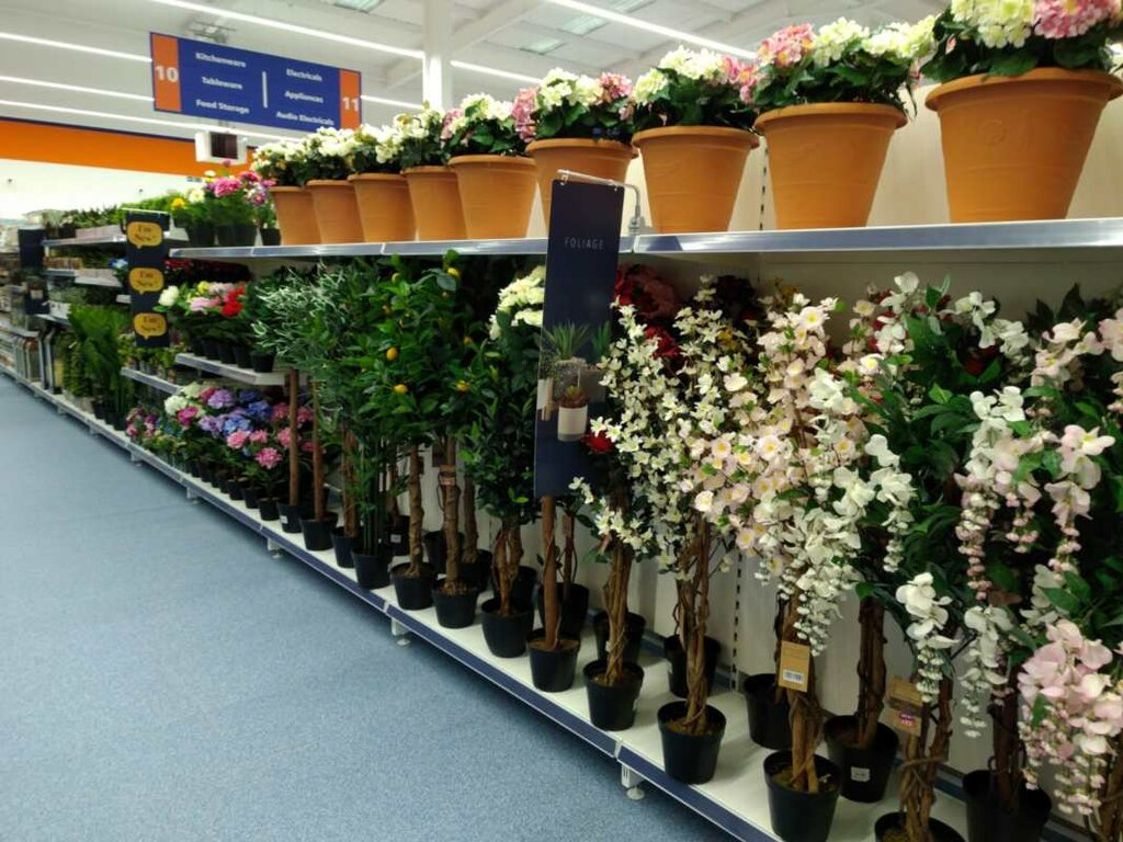 Şans oyunları B&m Home Store with Garden Centre, İngiltere, foto