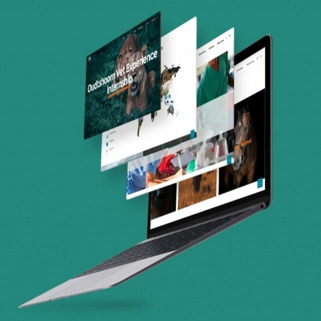Web tasarım hizmetleri WxD Creative - Web Design McKinney Tx, Texas, foto