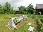 СНТ Железнодорожник (No:133, SNT Zheleznodorozhnik), bahçecilik dernekleri ve kuruluşları  Vladimirskaya oblastından