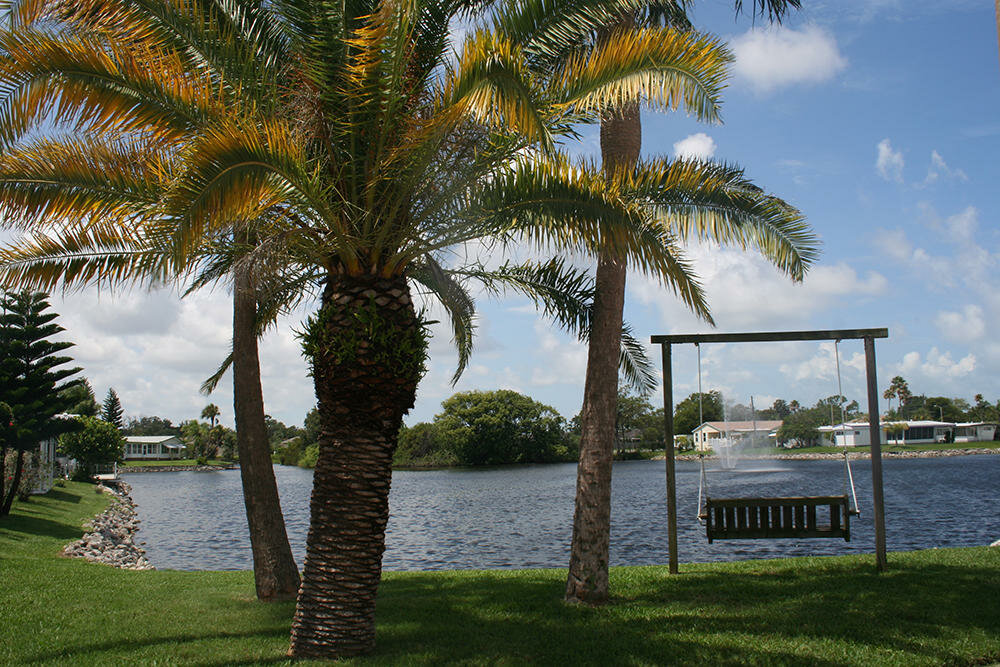 Arazi dizisi Lake Haven, Florida Eyaleti, foto
