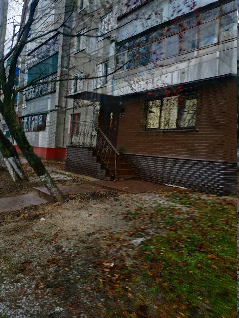 Tohum üretimi Semena Chernozemya, Kursk, foto