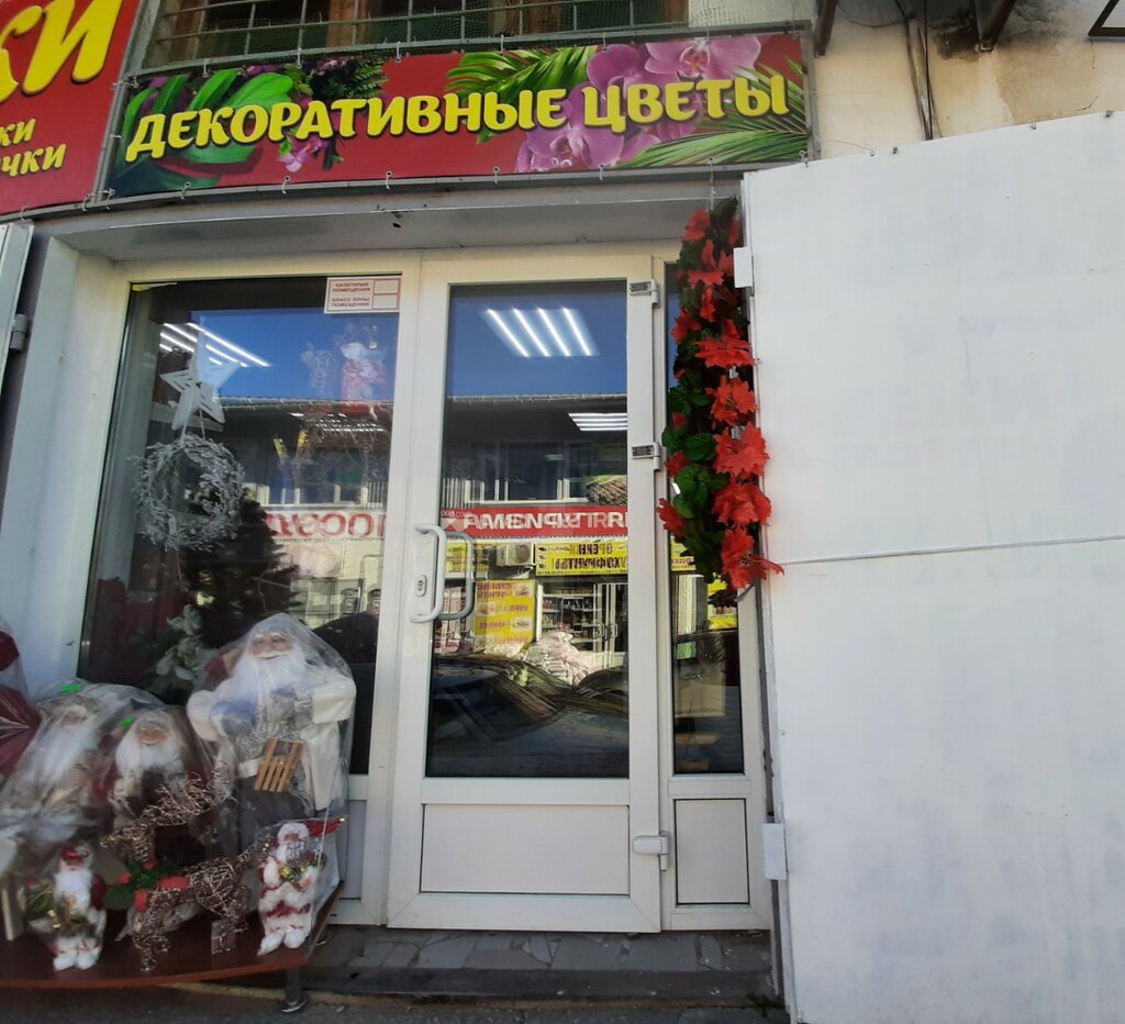 Yapay bitki ve çiçek Декоративные цветы, Simferopol (Akmescit), foto