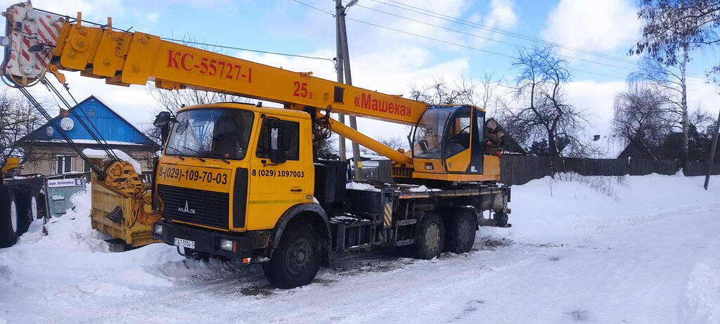 i̇nşaat ekipmanı kiralama Arenda Mozyr, Gomelskaya oblastı, foto
