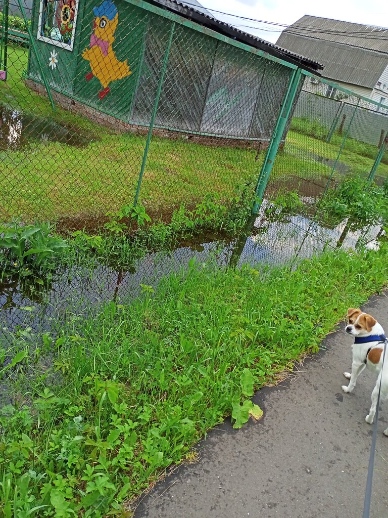Anaokulları Детский сад № 25 Чебурашка, Moskova ve Moskovskaya oblastı, foto