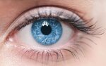 Marenco Dott. ssa Maria (Via Cremona No:6, Alessandria), optik cihazlar ve ekipmanlar  Alessandria'dan