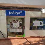 Oficina Seguros Pelayo (Comunidad Autónoma de Aragón, Ciudad de Zaragoza, Avenida Madrid), sigorta şirketleri  Madrid'den