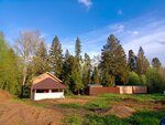 Прима Мария Кеннел (Moscow Region, Dmitrovskiy Urban District, Village of Pokhodkino), evcil hayvan yetiştiricileri  Moskova ve Moskovskaya oblastından