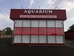 Aquarium (Tselinnaya ulitsa No:19), oto yıkama  Svetlograd'dan