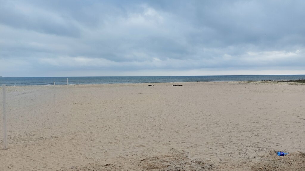 Plaj Пляж санатория Меркурий № ЕВ-088, Kırım Cumhuriyeti, foto