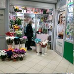 Магазин цветов (Adzincova Street No:20), çiçekçiler  Minsk'ten