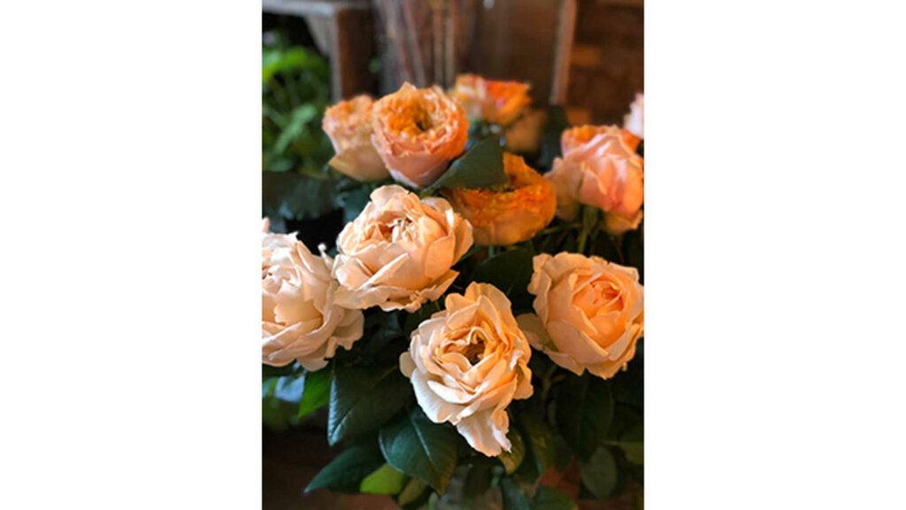 Çiçek teslimatı Blomsterdekoratör Firma Bankemalm, Stockholm Vilayeti, foto