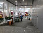 Don Pion (50 let VLKSM Street No:16И), çiçek teslimatı  Stavropol'dan