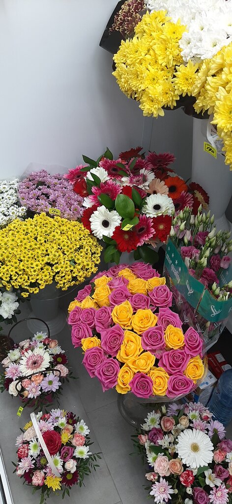 Çiçekçiler Галерея Камелия, Moskova, foto