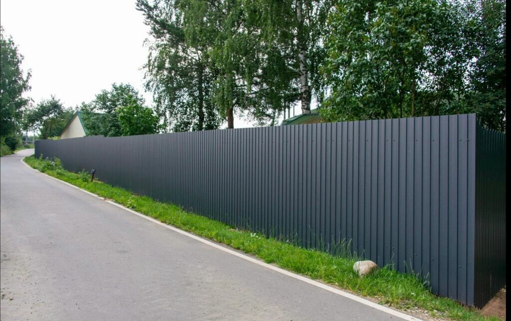 Çitler, parmaklıklar Vint. Svai. Montag, Saint‑Petersburg ve Leningradskaya oblastı, foto