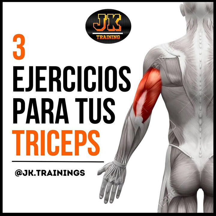 i̇ş ve işçi bulma kurumları Jk Trainings, , foto
