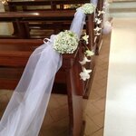 Al Fleurs (Corso 20 Settembre No:13, Alessandria), çiçek teslimatı  Alessandria'dan