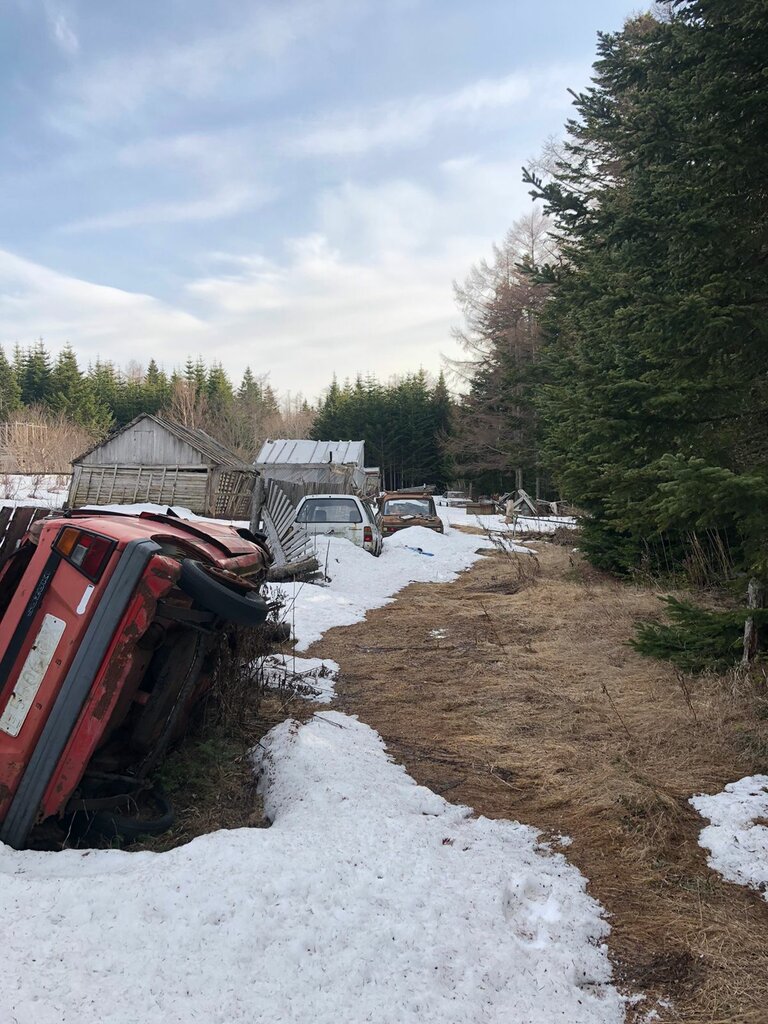Dağ zirvesi Гора Наблюдательная 175 метров, Sahalin Bölgesi, foto
