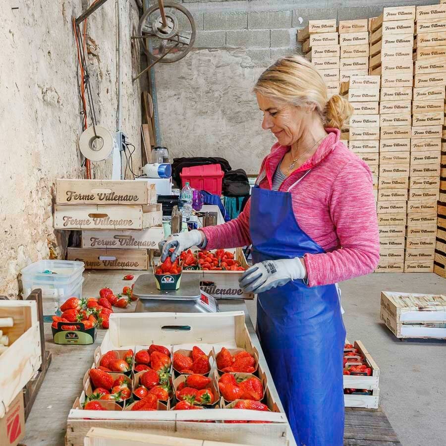 Market Ferme Villenave Angresse, , foto