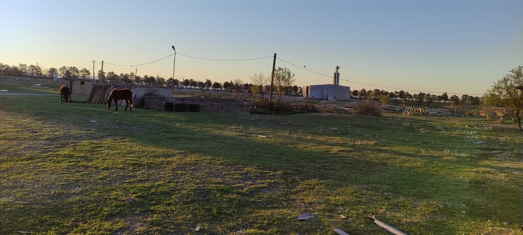 Tarım firmaları Сельскохозяйственное предприятие, , foto