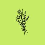 Botanique Flowers 24 (Zavodskaya ulitsa No:29А, posyolok gorodskogo tipa Sverdlovskiy), çiçekçiler  Moskova ve Moskovskaya oblastından