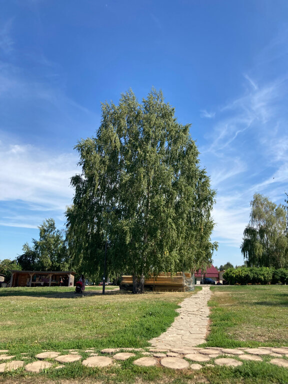 Doğa Две сестрички, Suzdal, foto