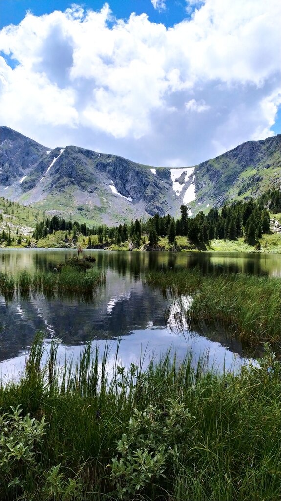 Resort oteller, tesisler Иванова дача, Altay Cumhuriyeti, foto