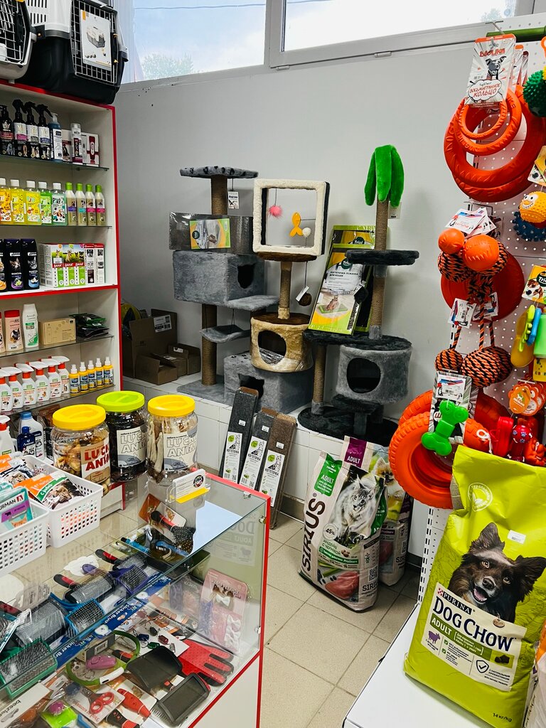 Petshop AlphaDog, Saint‑Petersburg ve Leningradskaya oblastı, foto