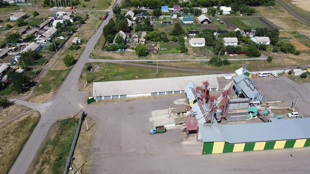 Tohum üretimi Apk Aleksandrovskoye, Voronejskaya oblastı, foto