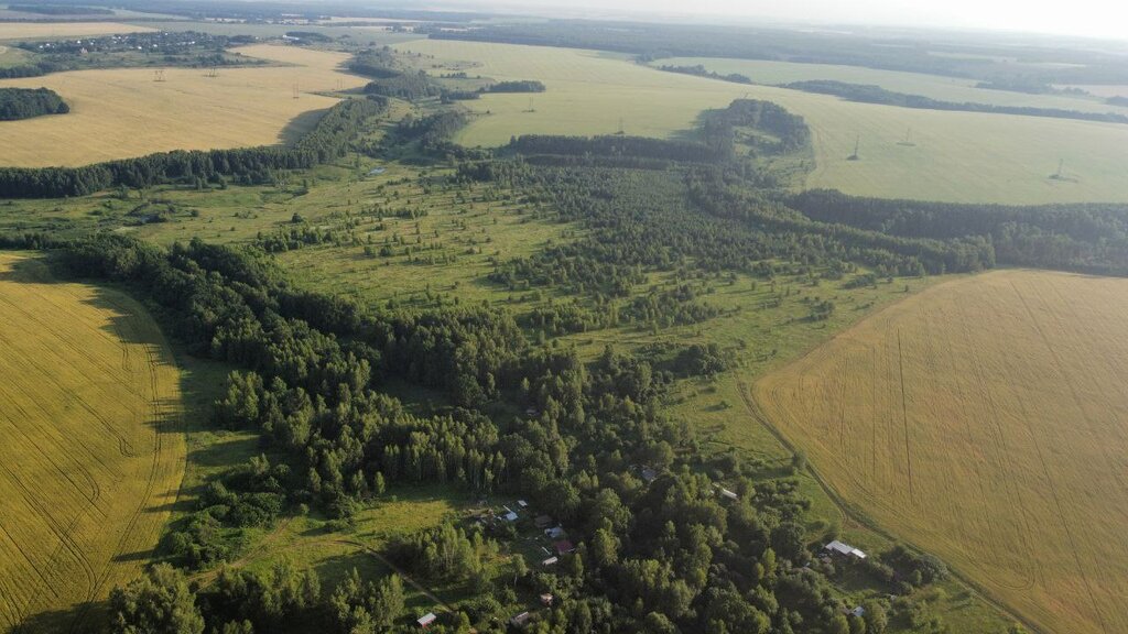 Orman лес Репенки, Moskova ve Moskovskaya oblastı, foto