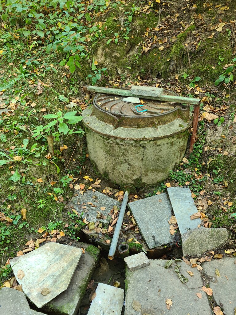Pınar, çay Spring, stream, Moskova ve Moskovskaya oblastı, foto