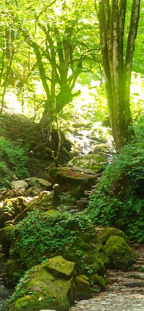 Dağ zirvesi Гора Верхний Тох-Аул, Soçi, foto