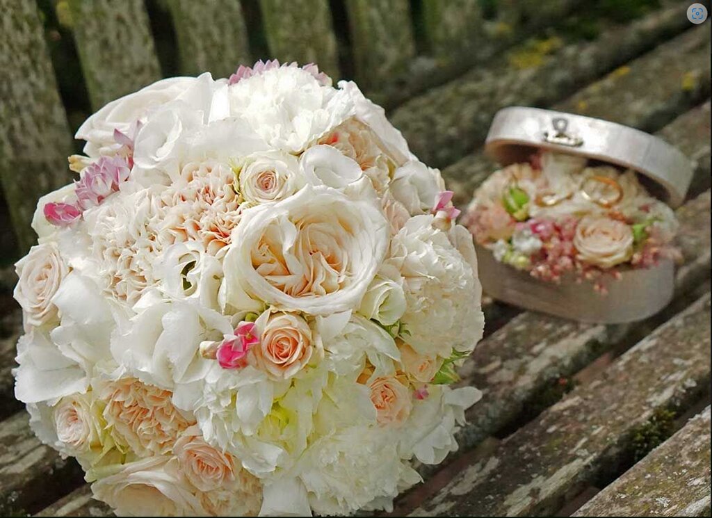 Çiçek teslimatı Schöne Blumen Floristik & Gartenbau, Saksonya, foto