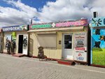Ветеринарная аптека (Zaozyornaya Street No:9Бк5), veteriner eczaneleri  Omsk'tan