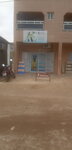 Pet's Boutik Ivoire (Abidjan, Commune of Abobo, Rue P186), petshop  Abican'dan