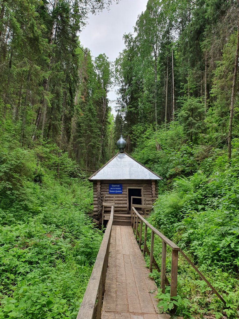 Pınar, çay Spring, stream, Kostromskaya oblastı, foto