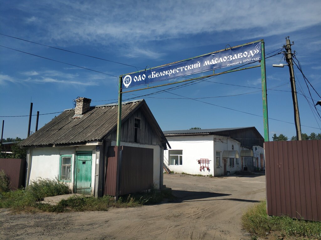 Toptan süt ürünleri Otkrytoye aktsionernoye obshchestvo Belokrestsky maslozavod, Vologodskaya oblastı, foto