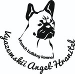 Vyazemskii Angel-Hranitel. kennel. french. bulldog (ulitsa Stroiteley No:10), evcil hayvan yetiştiricileri  Viazma'dan