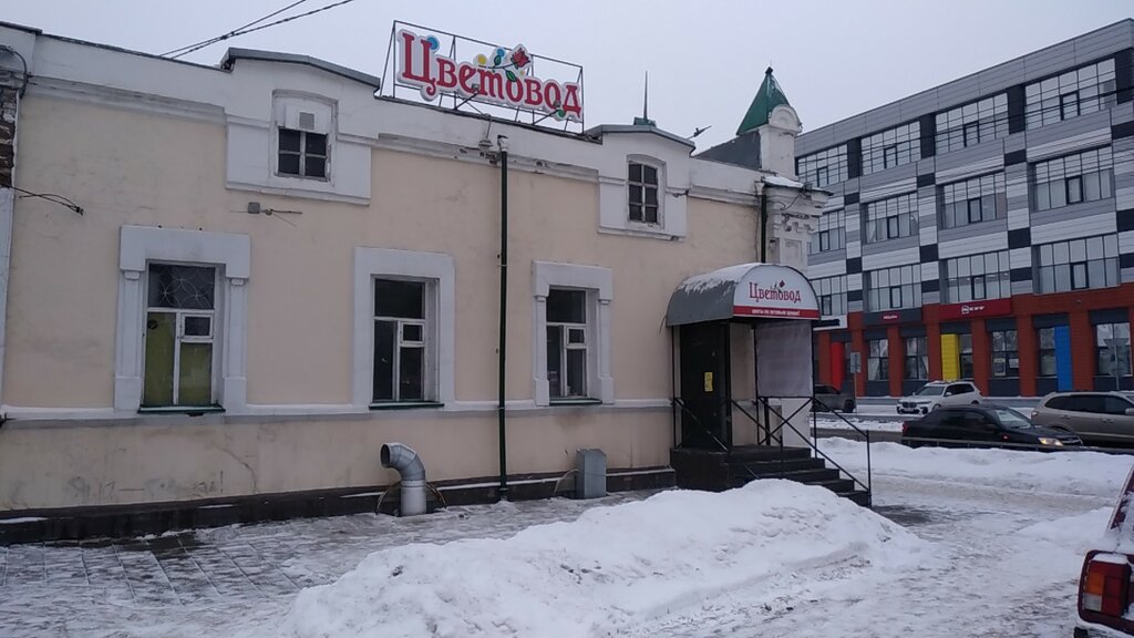 Çiçekçiler Цветовод, Omsk, foto