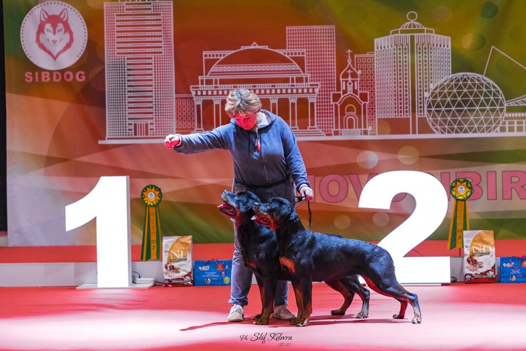 Hayvanat bahçesi merkezi Alter Ego, Tomsk, foto