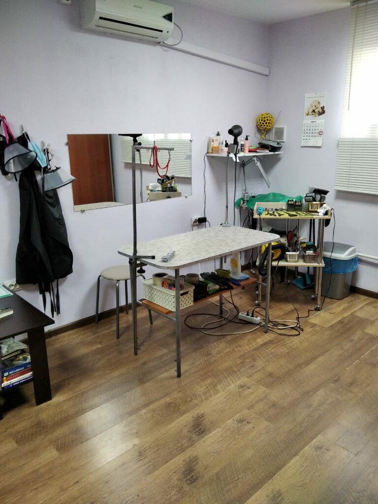 Evcil hayvan kuaförleri Groom Remi, Krasnodar, foto
