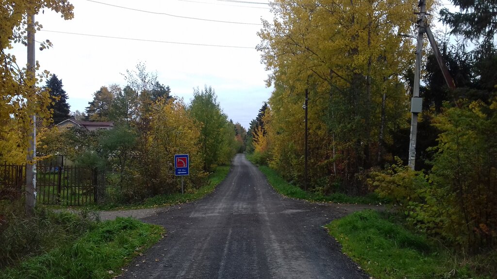 Bahçecilik dernekleri ve kuruluşları Snt Petrogradskoye, Saint‑Petersburg ve Leningradskaya oblastı, foto