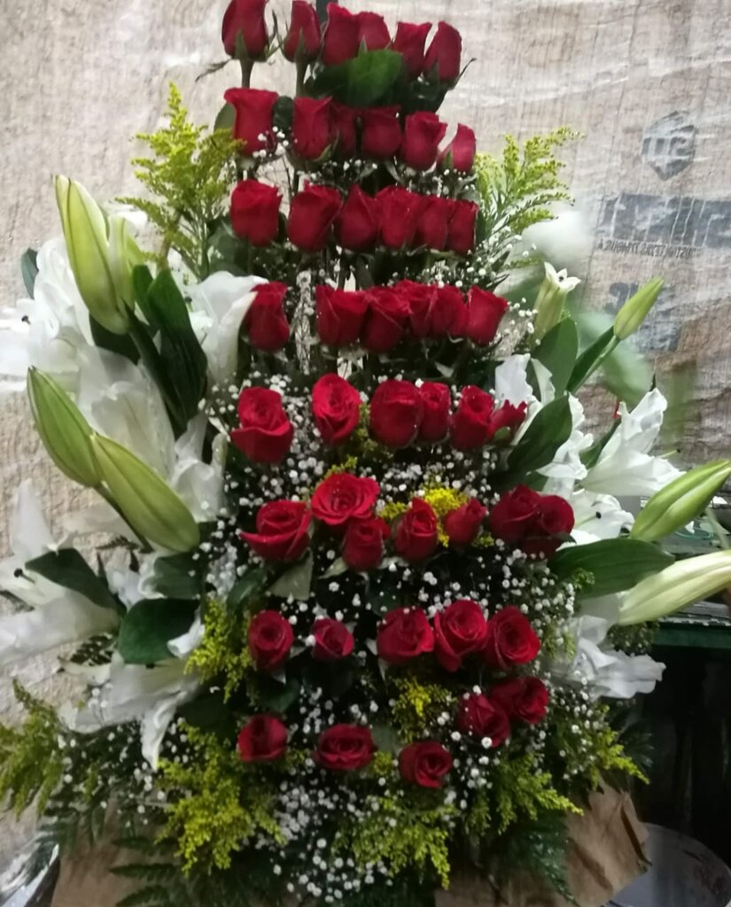 Ses ve ışıklandırma ekipmanları firmaları Decoraciones Torre Fuerte, Guatemala, foto