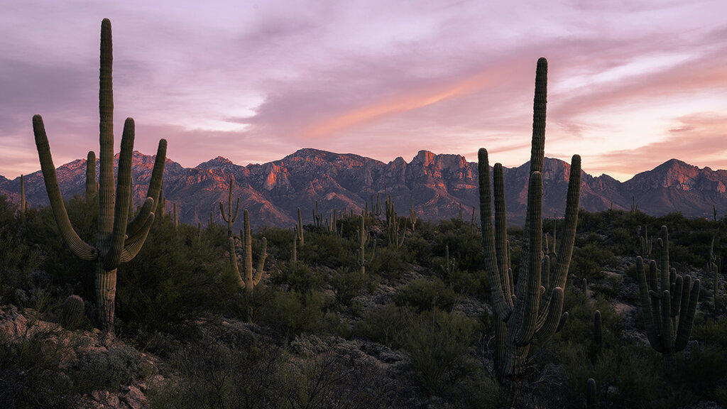 Avukatlar Law Office of Alec Hanus, Tucson, foto