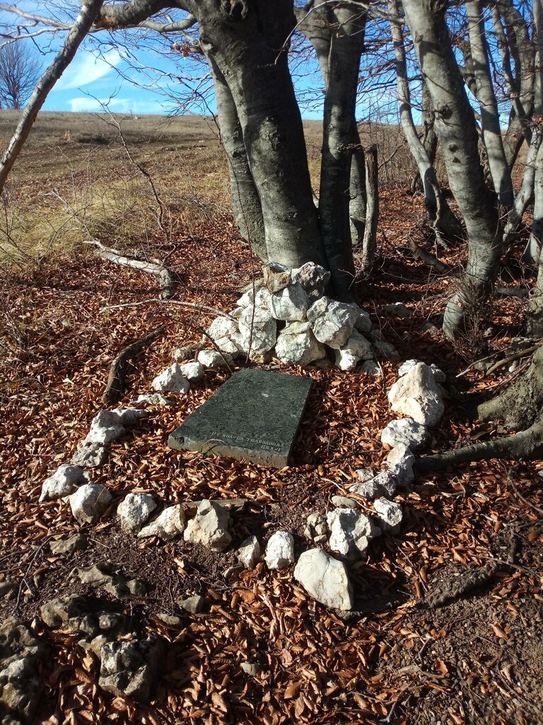 Anıt, heykel С. Курсеитов, Kırım Cumhuriyeti, foto
