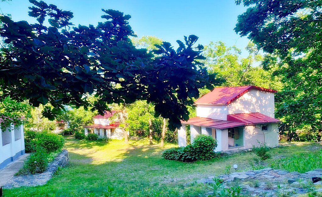 Resort oteller, tesisler Baza otdykha Zapovednaya, Primoriye, foto