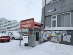 Заря-96 (Leningradskiy prospekt No:7), market  Novy Urengoy'dan