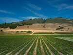 Davis - Lopez Tax Service (California, Monterey County, Salinas), mali müşavir  Salinas'tan