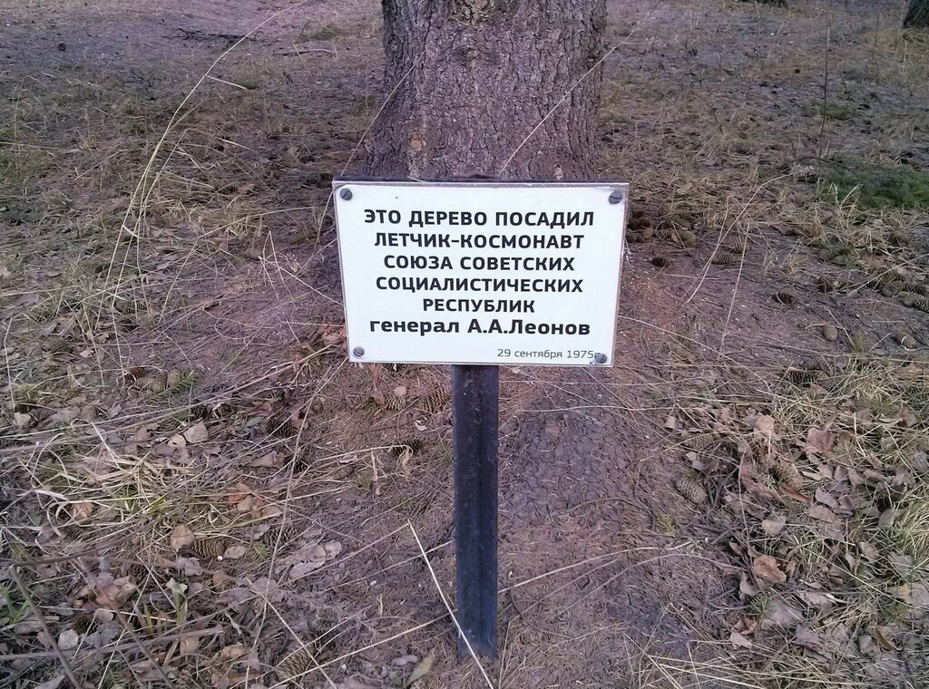 Turistik yerler Аллея космонавтов, Novosibirsk, foto