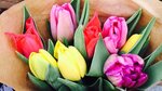 Flower Fresh Norrtälje (Billborgsgatan No:9), sera ve bahçe ürünleri  Norrtalje'den