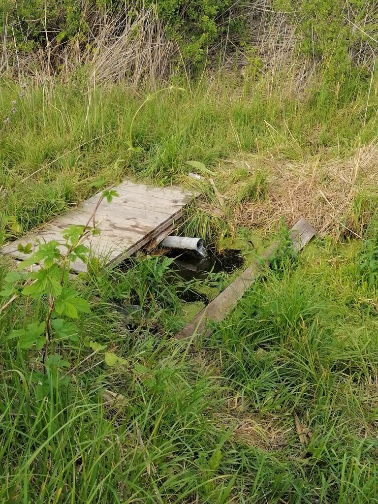 Pınar, çay Spring, stream, Volgogradskaya oblastı, foto